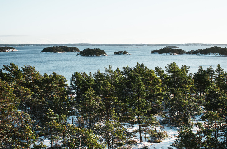 Monthly Report December 2022