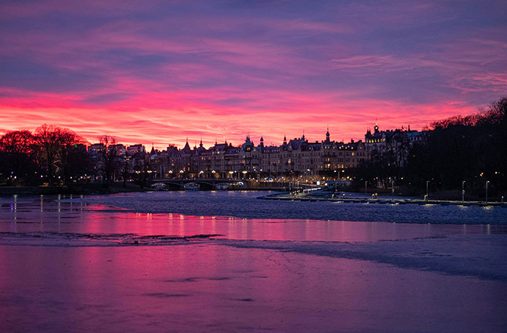 Monthly Report March 2025