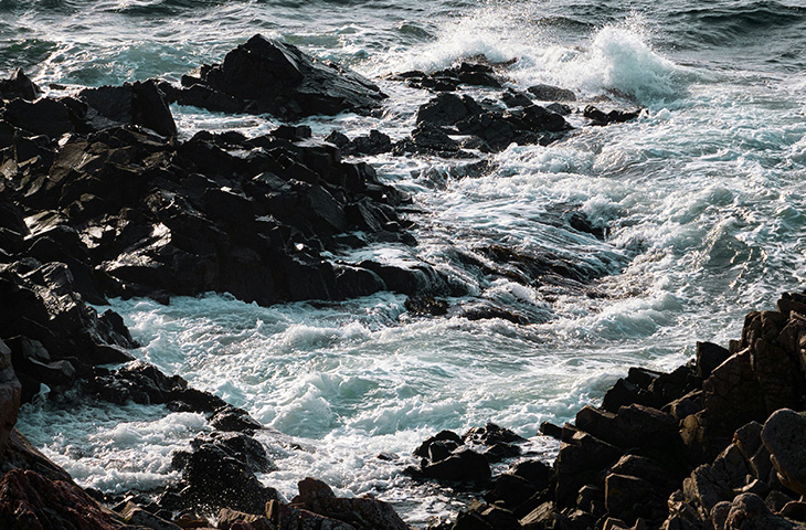 Monthly report September 2024